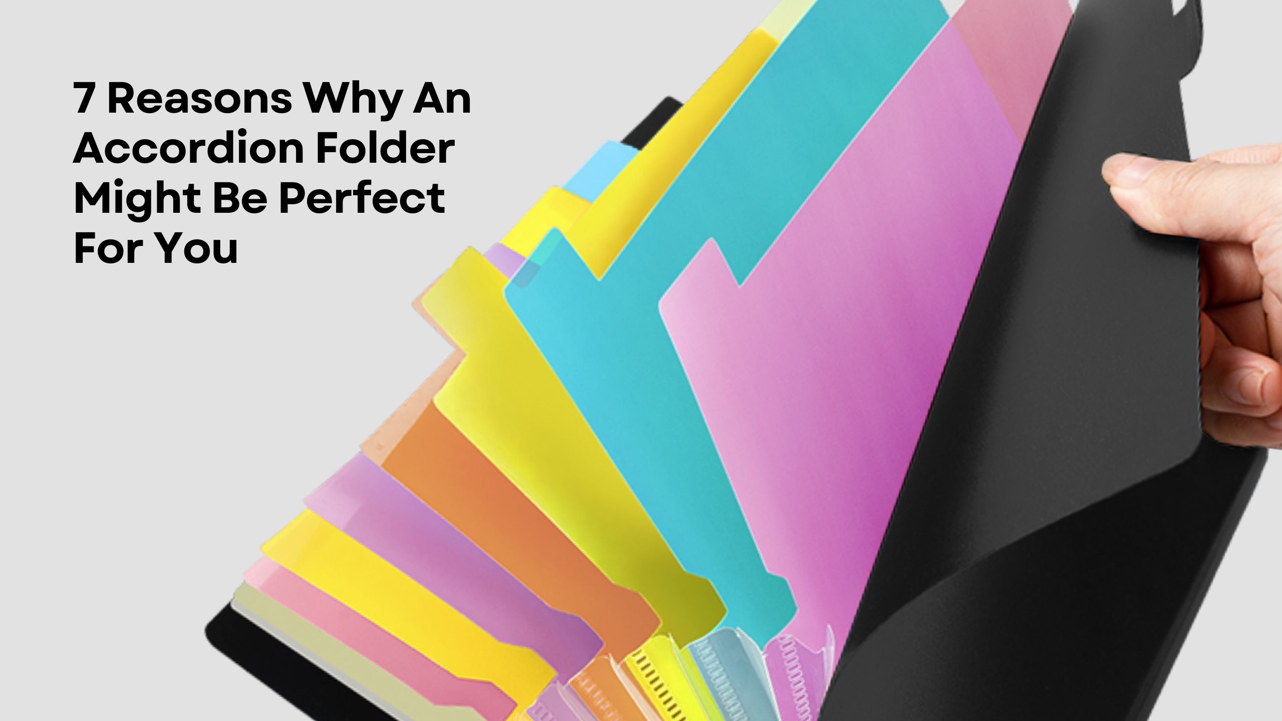 Accordion Folder: 7 Reasons Why It Might Be Perfect For You – Drawlish
